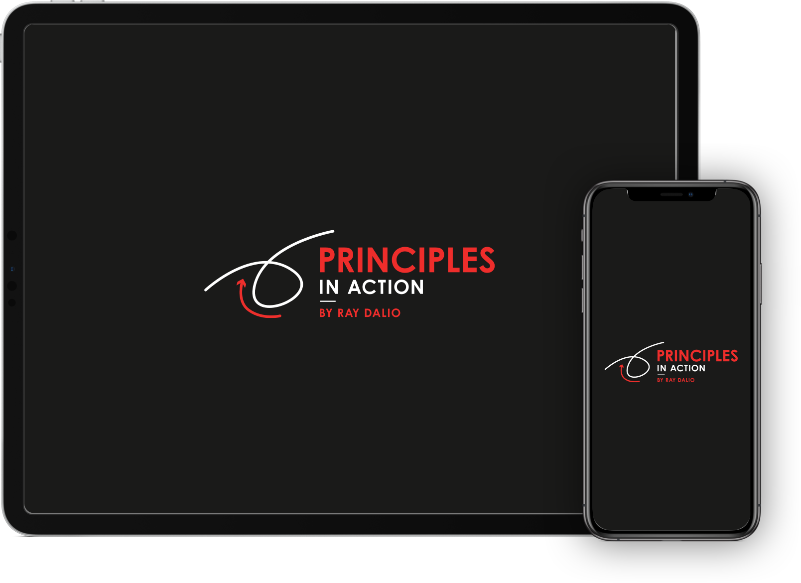 Principles by Ray Dalio - Principles In Action